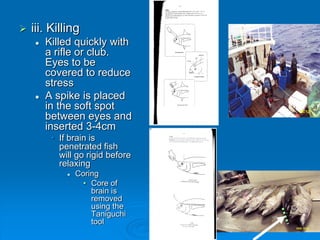 5._Good_Handling_practices_for_fish.pdf