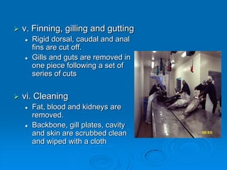 5._Good_Handling_practices_for_fish.pdf