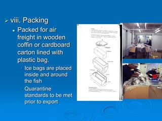 5._Good_Handling_practices_for_fish.pdf