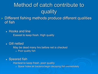 5._Good_Handling_practices_for_fish.pdf
