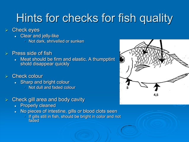 5._Good_Handling_practices_for_fish.pdf