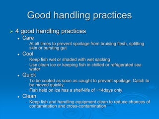 5._Good_Handling_practices_for_fish.pdf