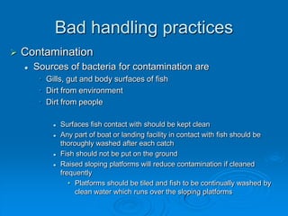 5._Good_Handling_practices_for_fish.pdf