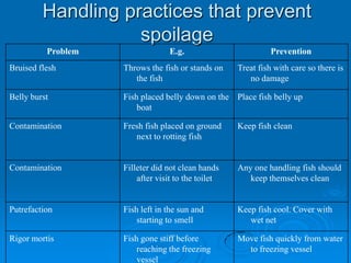 5._Good_Handling_practices_for_fish.pdf