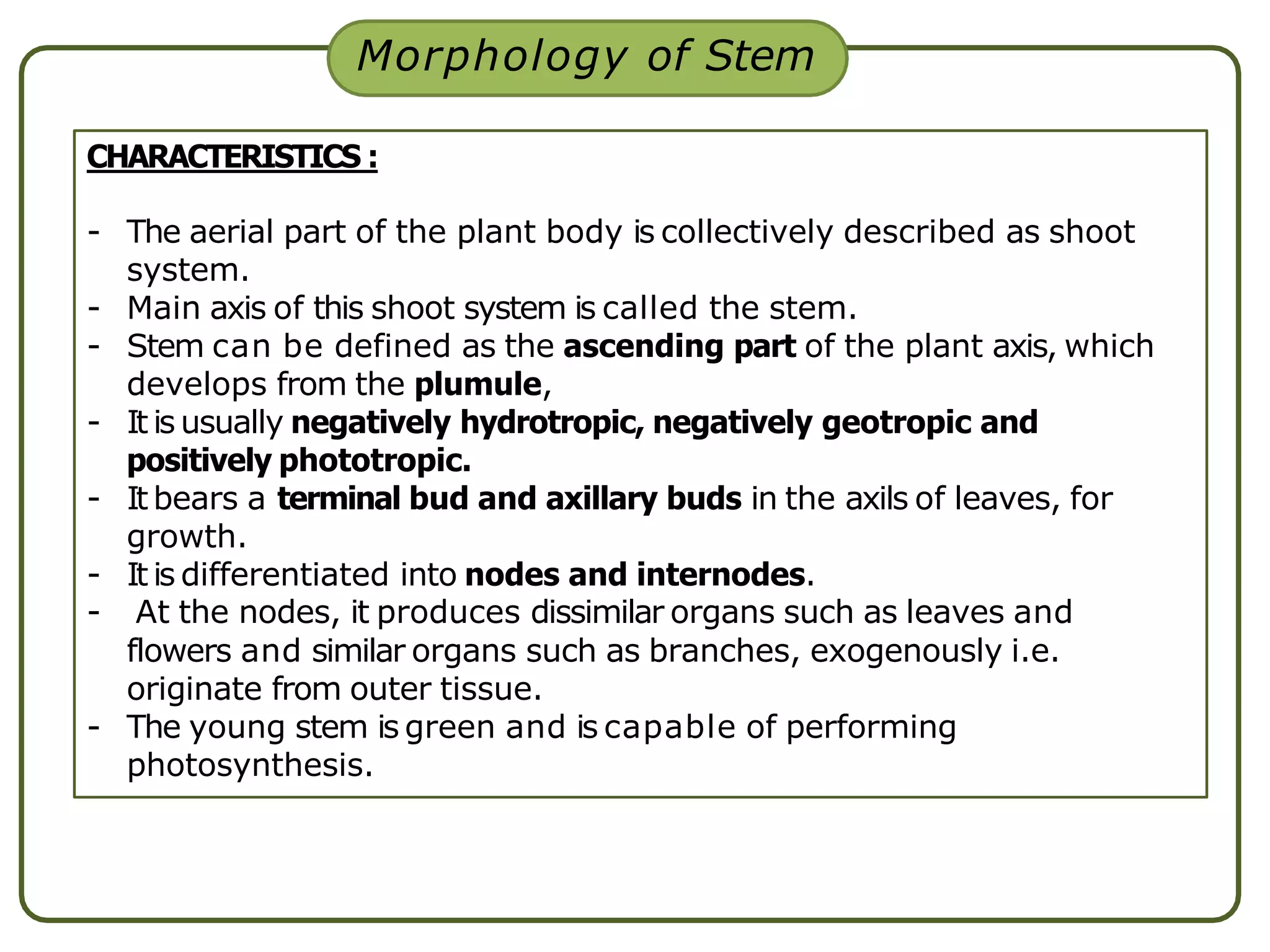 5. Morphology.pptx | Gardening | Home & Garden