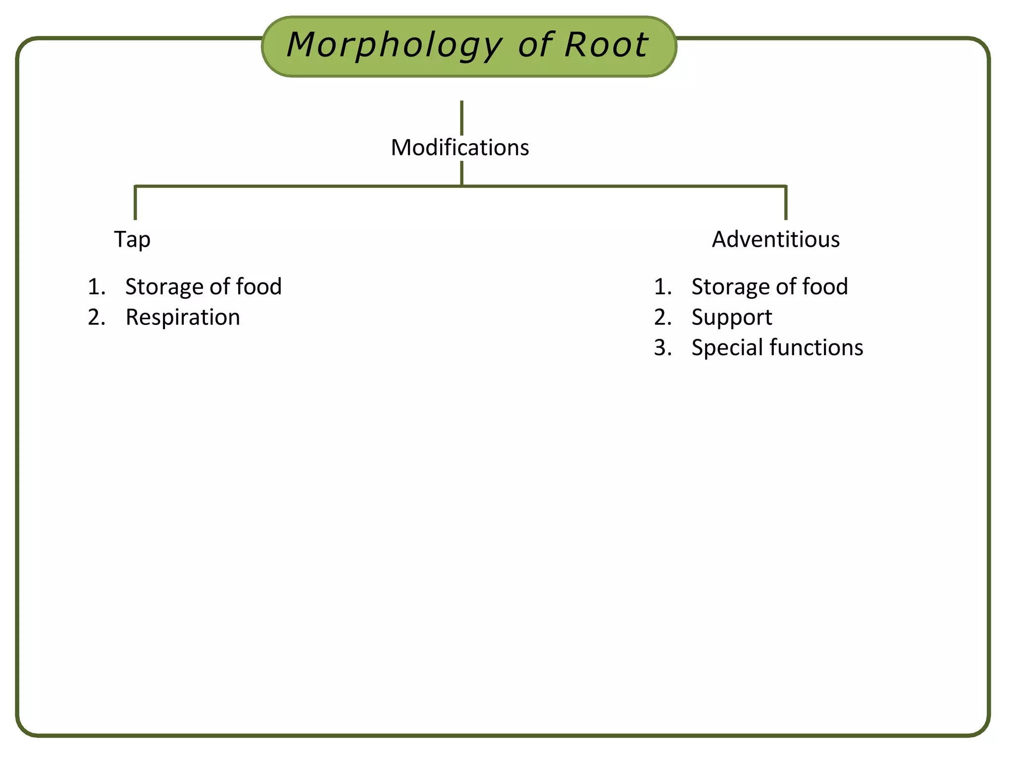 5. Morphology.pptx | Gardening | Home & Garden