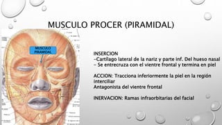 MUSCULOS FACIALES.pptx