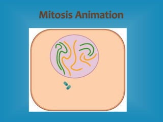 5. Cell Cycle and Mitosis.ppt