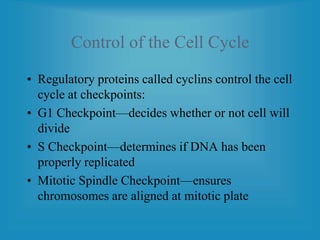 5. Cell Cycle and Mitosis.ppt