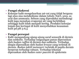 5. ANFIS Integument.pptx