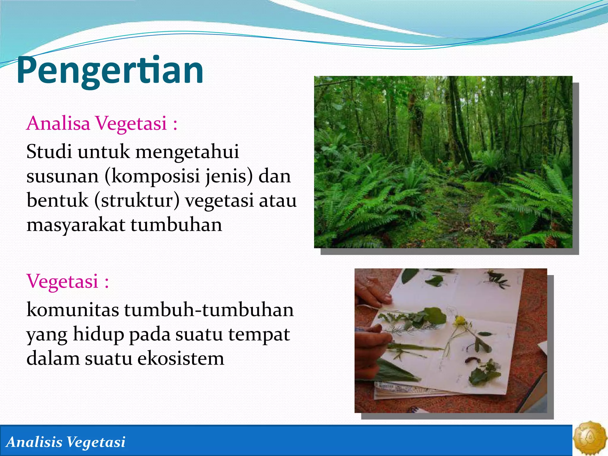 5. ANALISIS VEGETASI.pdf