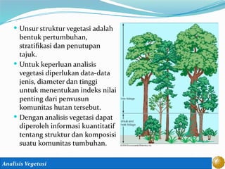 5. ANALISIS VEGETASI.pdf