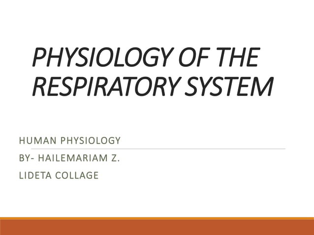 Human Respiratory Physiology | PPT