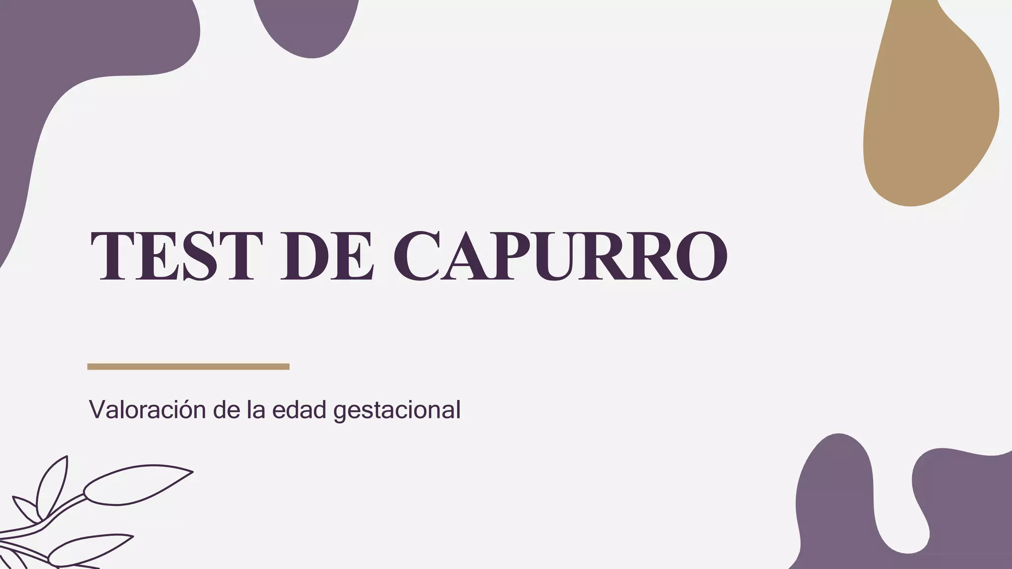 5. TEST DE CAPURRO.pptx