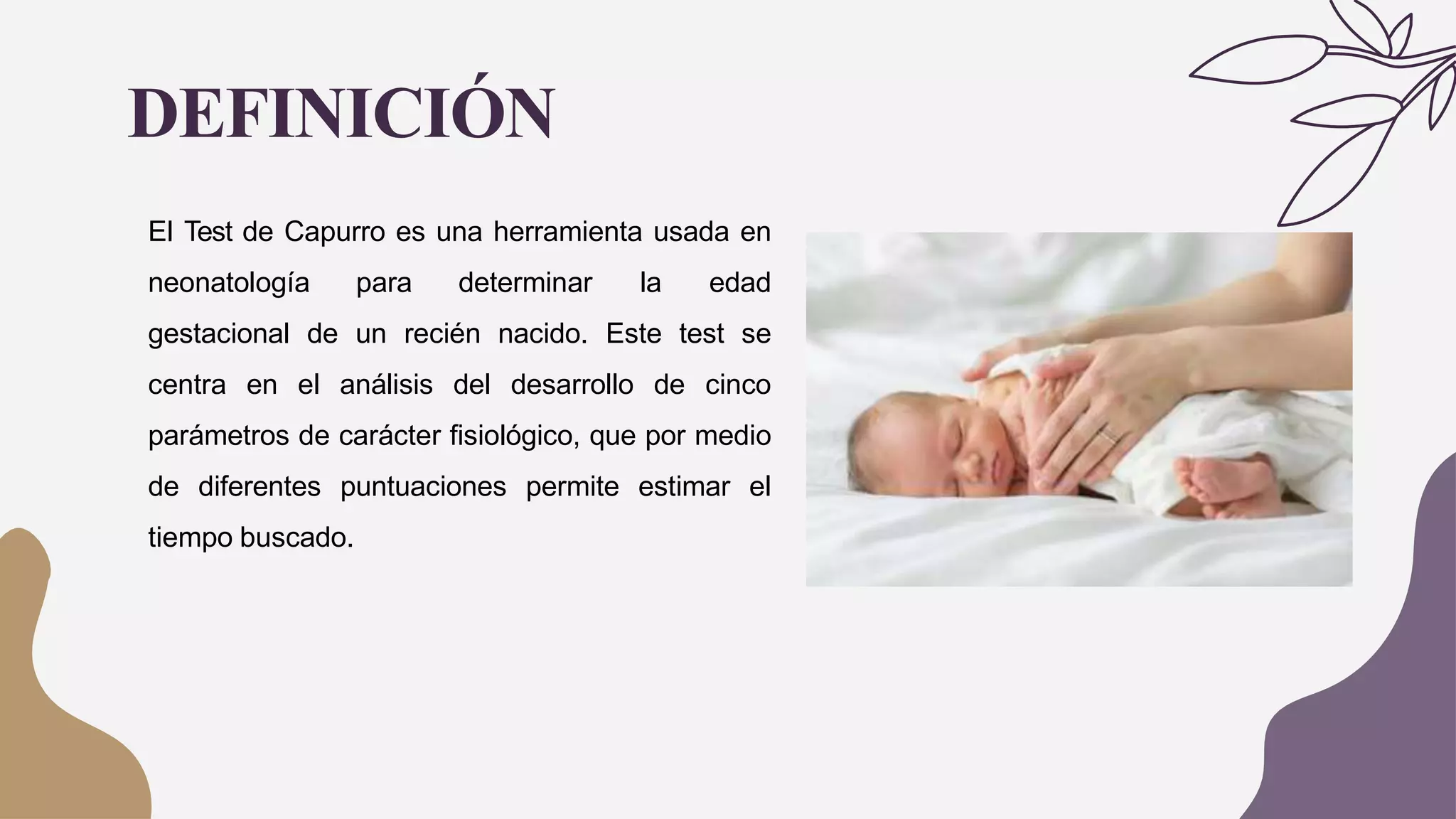 5. TEST DE CAPURRO.pptx