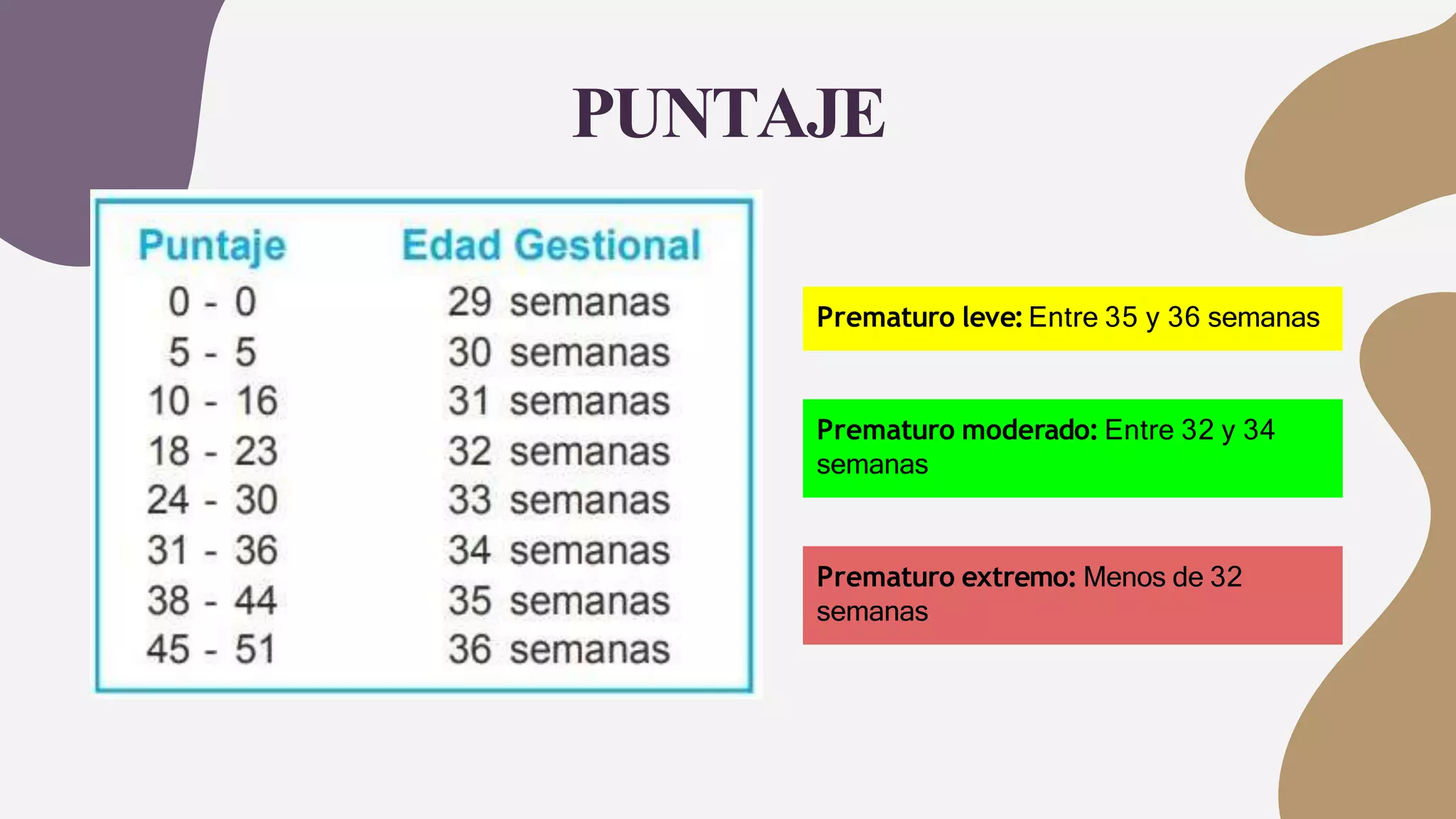 5. TEST DE CAPURRO.pptx