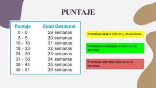 5. TEST DE CAPURRO.pptx