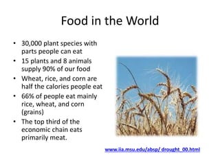 5. food-resources.pptx