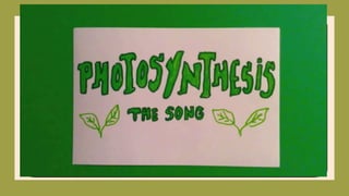 5. CHLOROPHYLL.pptx
