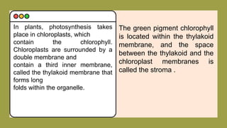 5. CHLOROPHYLL.pptx
