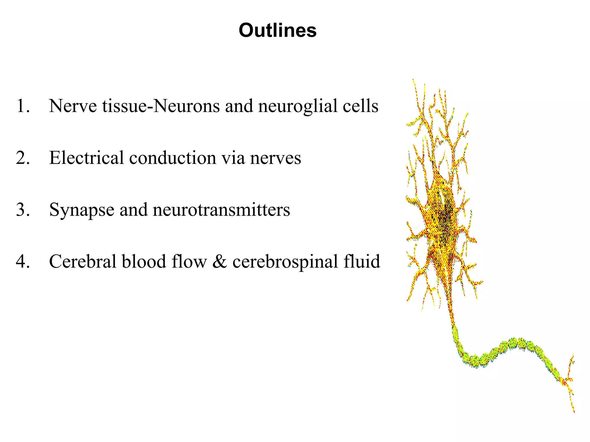 5.1. Nerve Tissue physiology.pptx