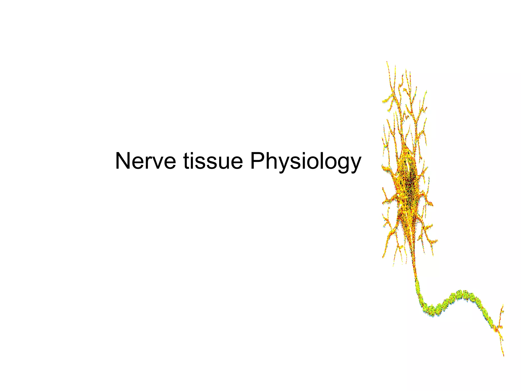 5.1. Nerve Tissue physiology.pptx