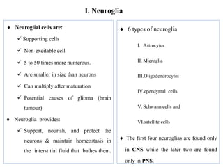 5.1. Nerve Tissue physiology.pptx
