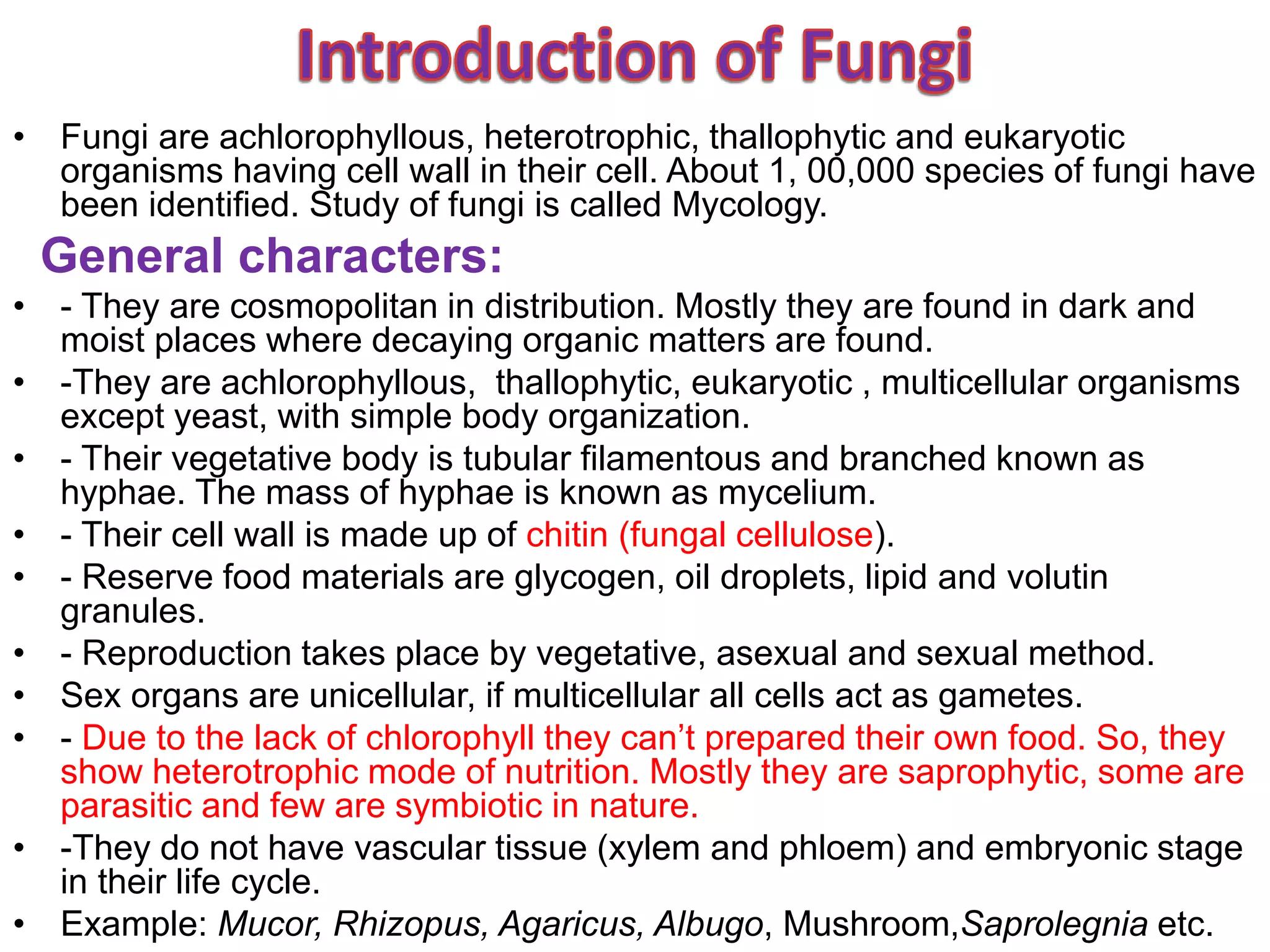 5.-FUNGI.pptx
