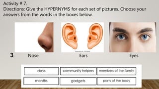 5. Understanding Hyponyms & Hypernyms.pptx