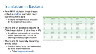 Information Flow in Microbes Part 2 | PDF