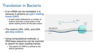 Information Flow in Microbes Part 2 | PDF