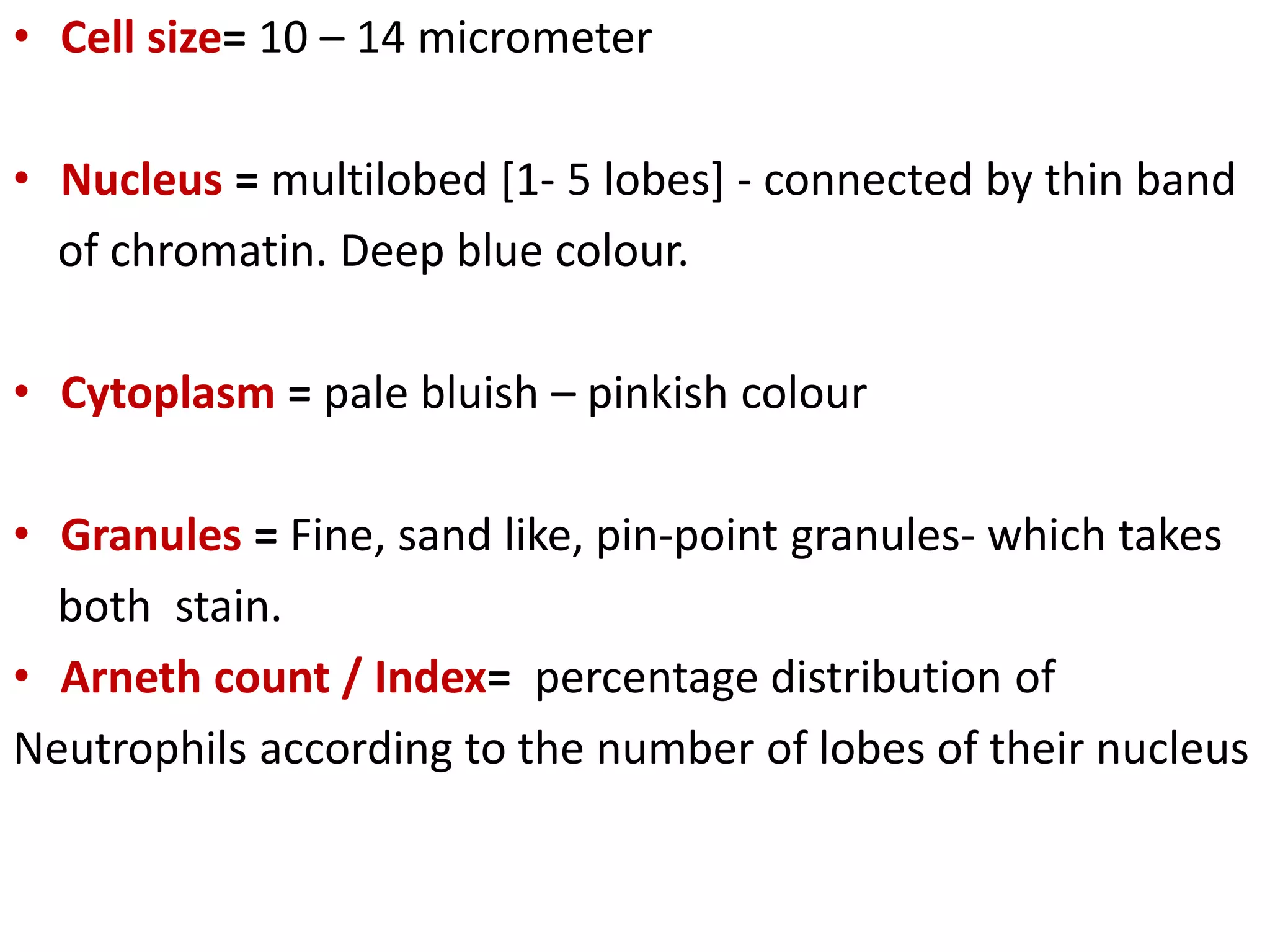 5. WBC.ppt