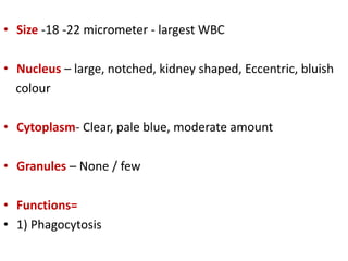 5. WBC.ppt