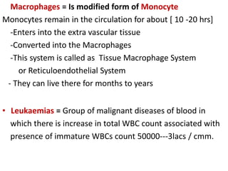 5. WBC.ppt