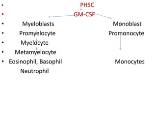 5. WBC.ppt