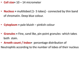 5. WBC.ppt