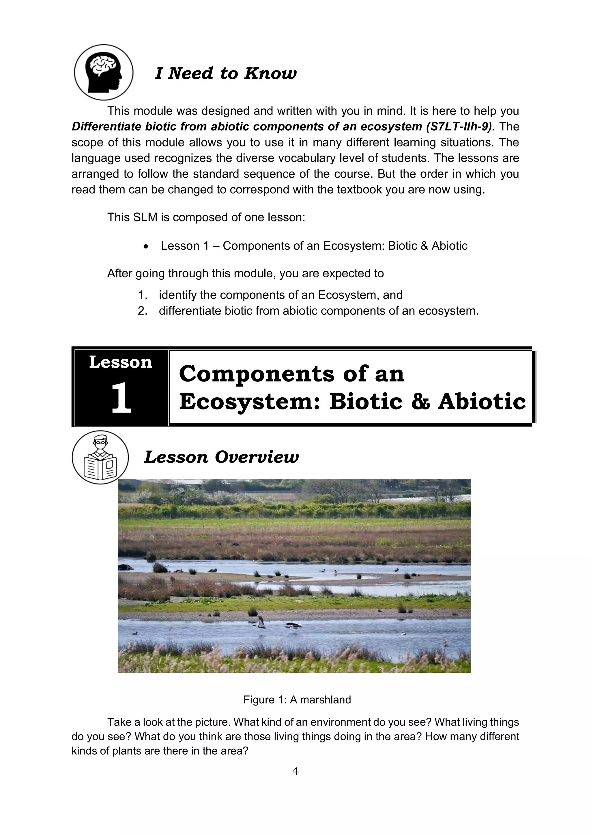 5. Grade-7-Q2-Module-5-Components-of-an-Ecosystem-Biotic-Abiotic-2nd ...
