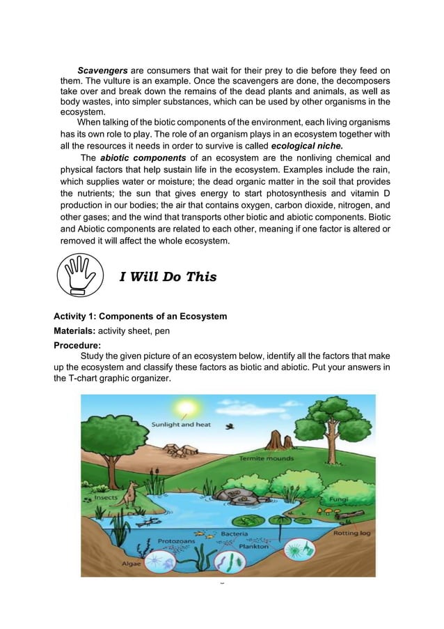 5. Grade-7-Q2-Module-5-Components-of-an-Ecosystem-Biotic-Abiotic-2nd ...