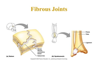 5. Joint.pptx