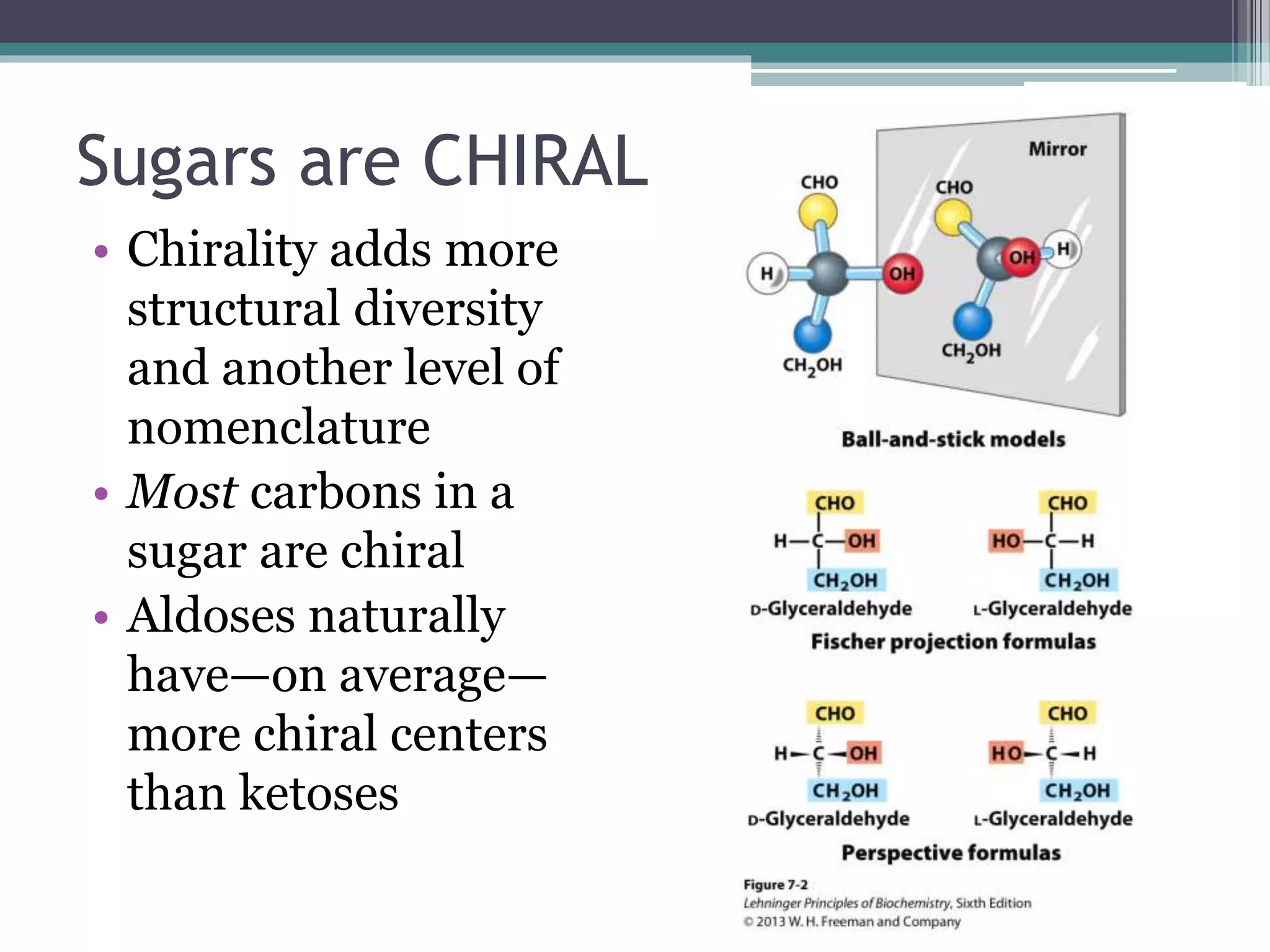 5. Carbohydrates and Glycobiology.pptx