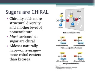 5. Carbohydrates and Glycobiology.pptx