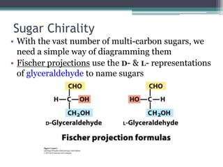 5. Carbohydrates and Glycobiology.pptx