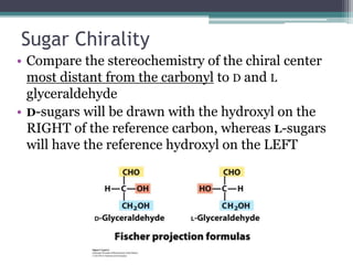 5. Carbohydrates and Glycobiology.pptx