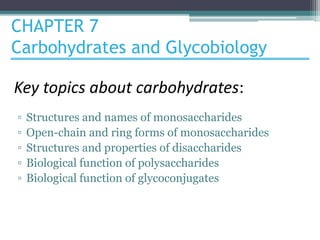 5. Carbohydrates and Glycobiology.pptx