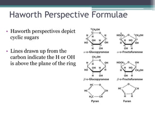 5. Carbohydrates and Glycobiology.pptx