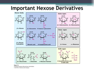5. Carbohydrates and Glycobiology.pptx