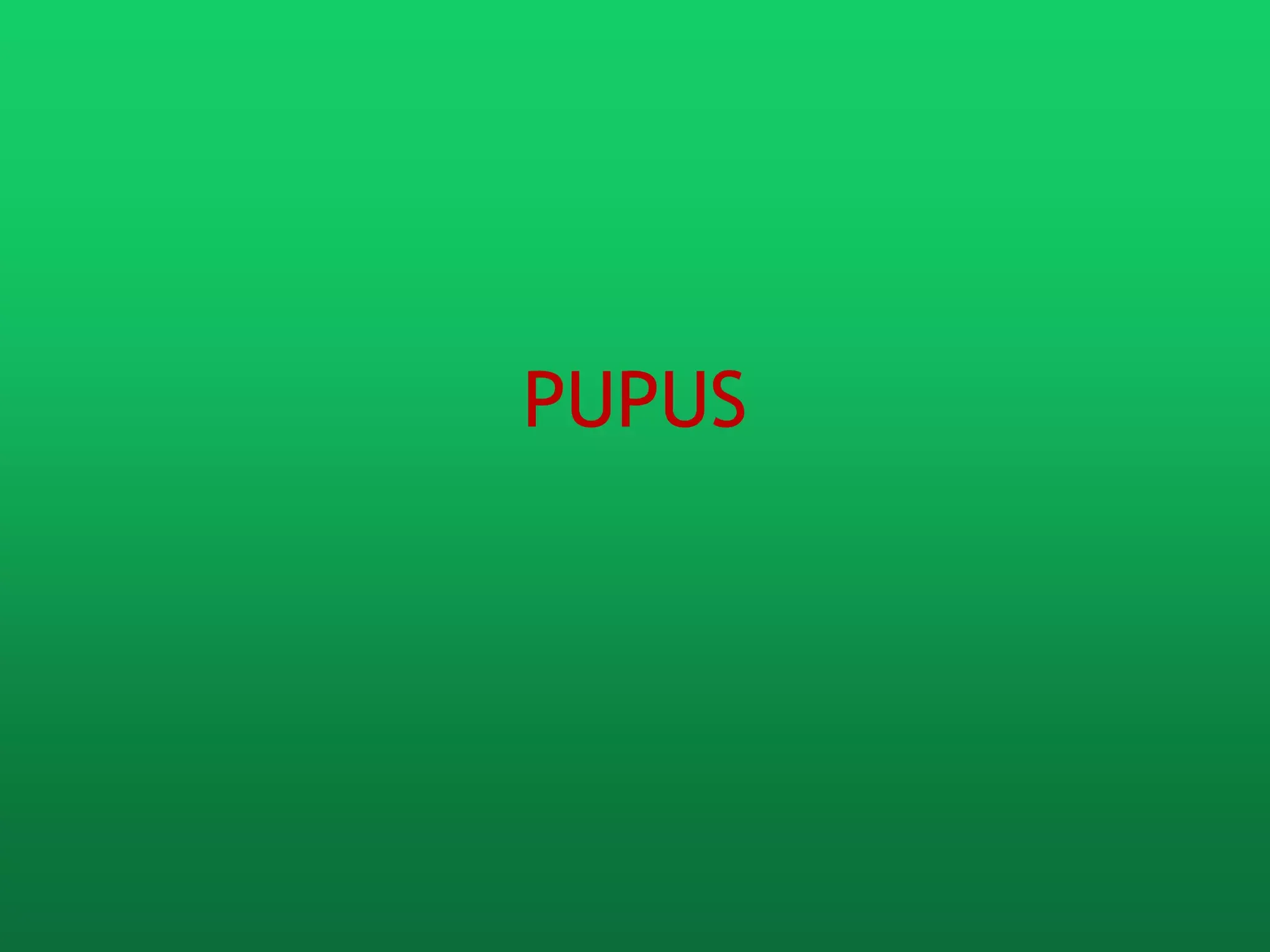 5.1 Pupus haiwan.pptx
