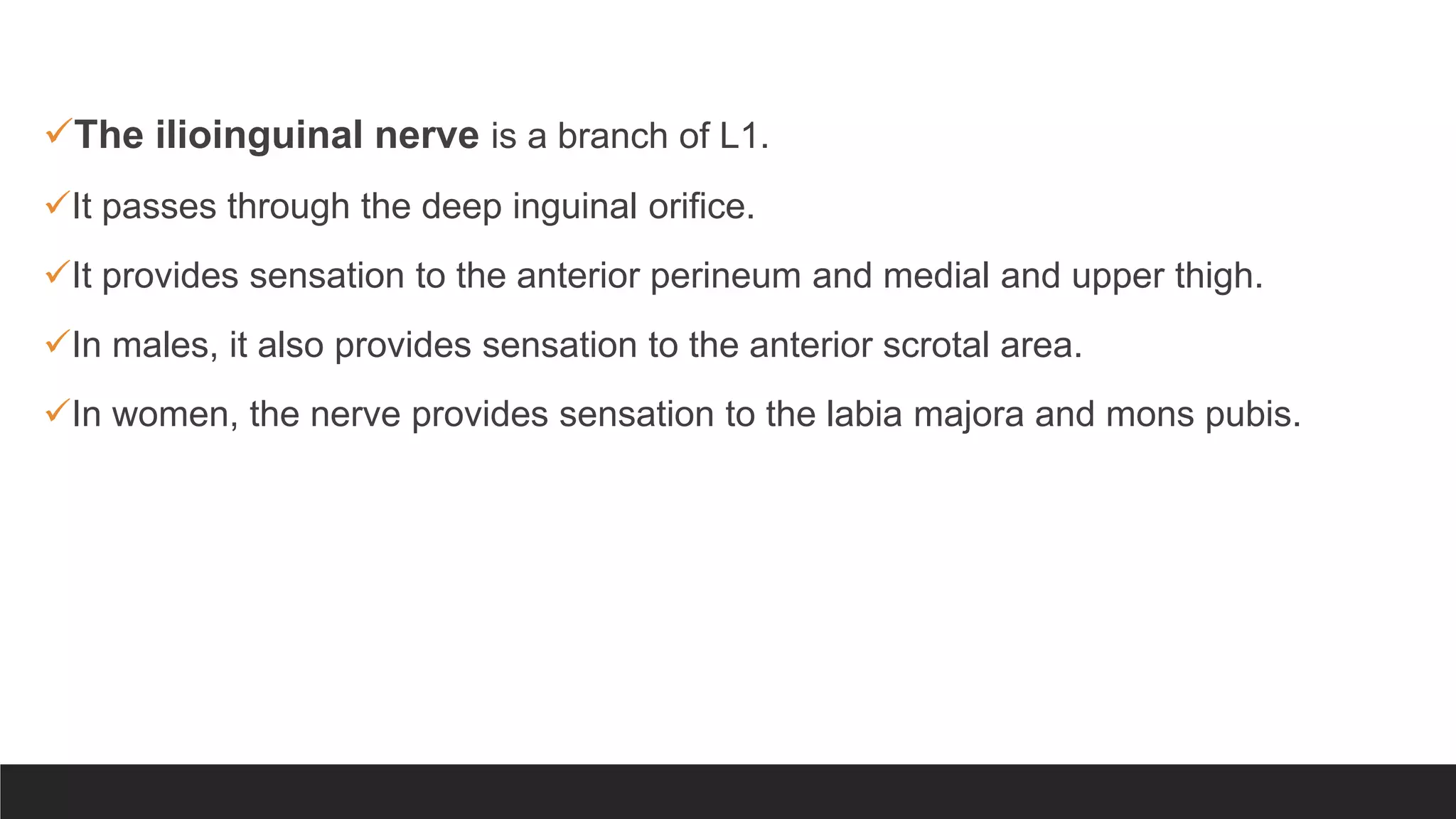 5. Inguinal Hernia & Surgical Anatomy.pptx