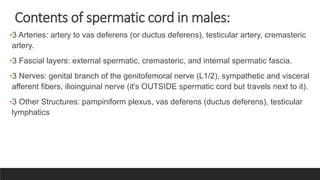5. Inguinal Hernia & Surgical Anatomy.pptx