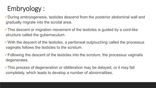 5. Inguinal Hernia & Surgical Anatomy.pptx